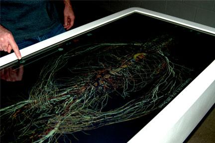 Anatomage Table Gives Students High-tech Experience in Anatomy Lab | IECC